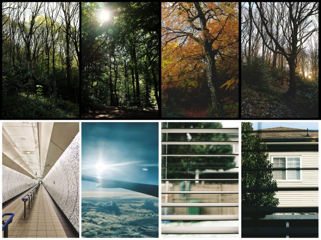 Canadian Association for Acoustic Ecology – Listening to our changing ...