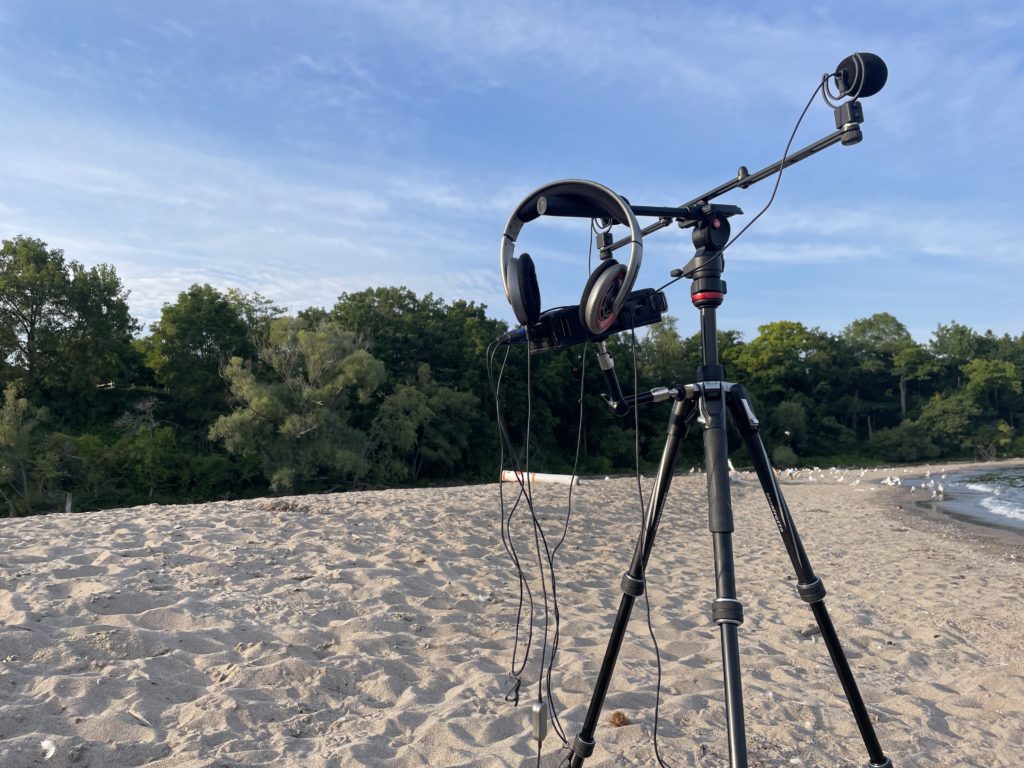 Canadian Association for Acoustic Ecology – Listening to our changing ...