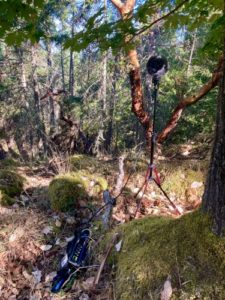 Canadian Association for Acoustic Ecology – Listening to our changing ...